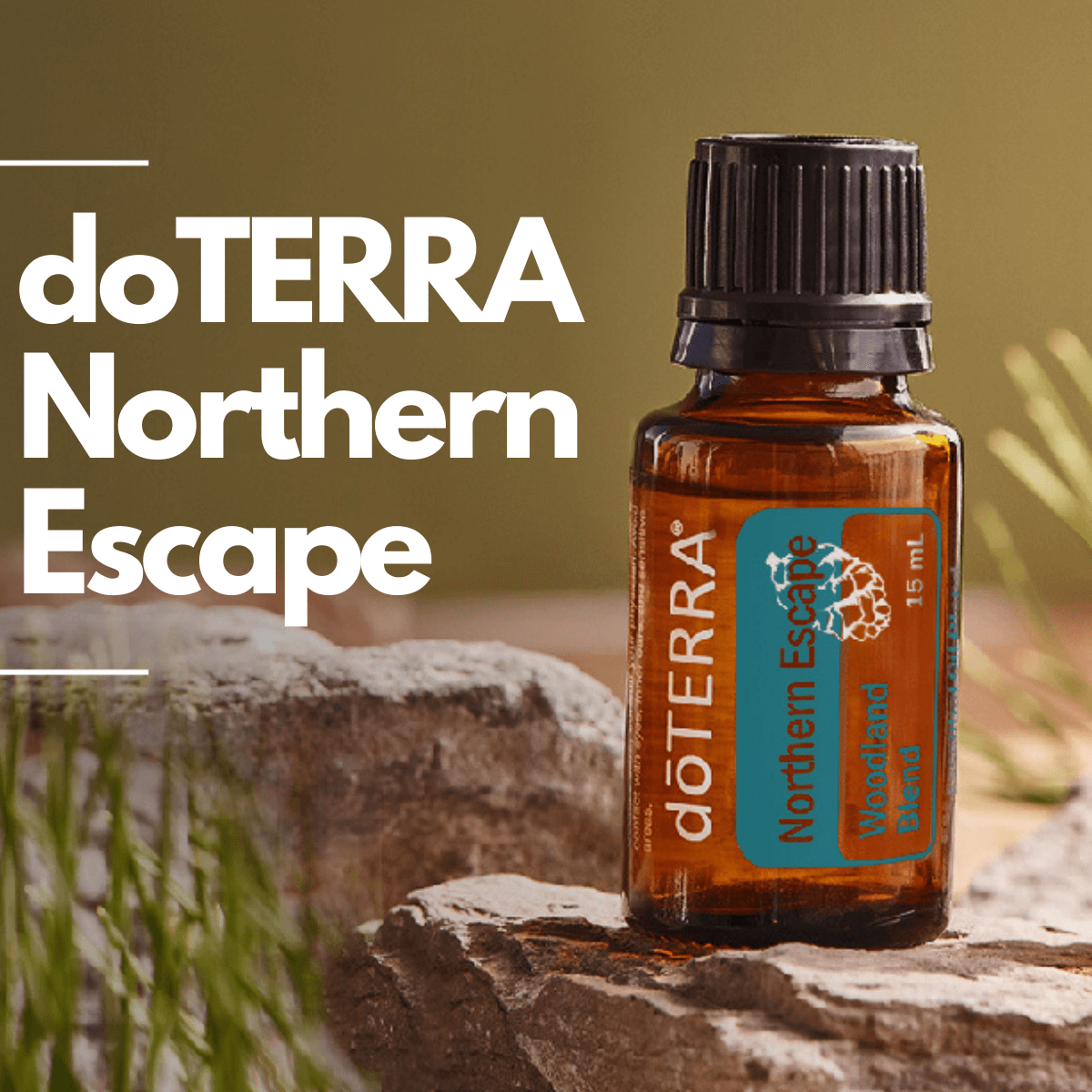 How to use doTERRA Northern Escape – Home Essential Oils