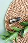 doTERRA Green Mandarin Essential Oil | dōTERRA – Home Essential Oils