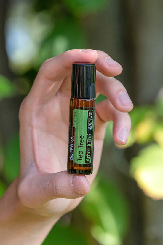 doTERRA Tea Tree (Melaleuca) Touch Roll-on | dōTERRA – Home Essential Oils