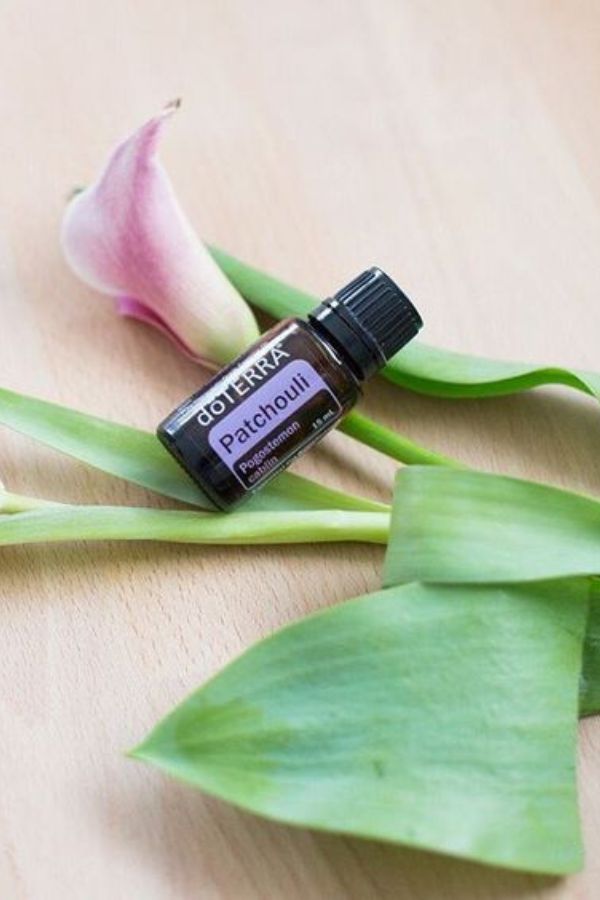 doTERRA Patchouli Essential Oil | dōTERRA Essential Oils – Home ...
