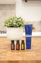 doTERRA Simple Solutions Kit | dōTERRA – Home Essential Oils