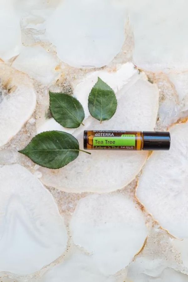 doTERRA Tea Tree (Melaleuca) Touch Roll-on | dōTERRA – Home Essential Oils