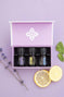doTERRA Introductory Kit | dōTERRA Essential Oils – Home Essential Oils