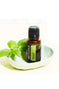 doTERRA Basil Essential Oil | dōTERRA Essential Oils – Home Essential Oils