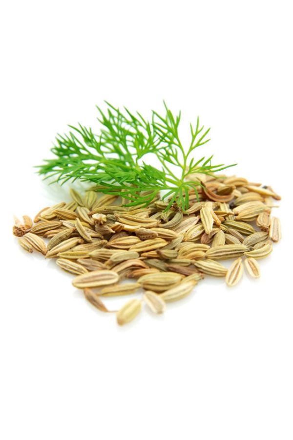 doTERRA Fennel (Sweet) Essential Oil | dōTERRA – Home Essential Oils