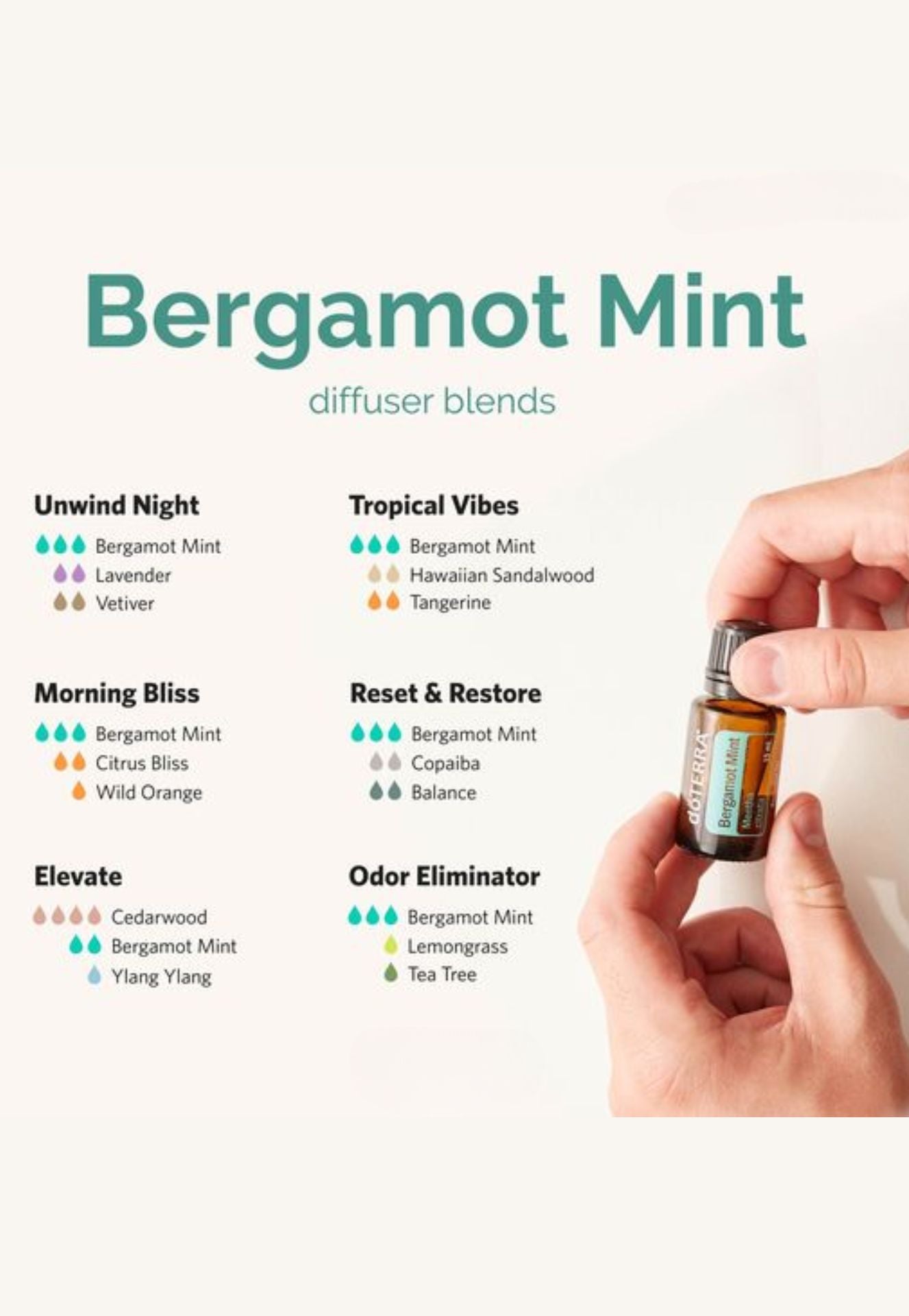 doTERRA Bergamot Mint | dōTERRA – Home Essential Oils