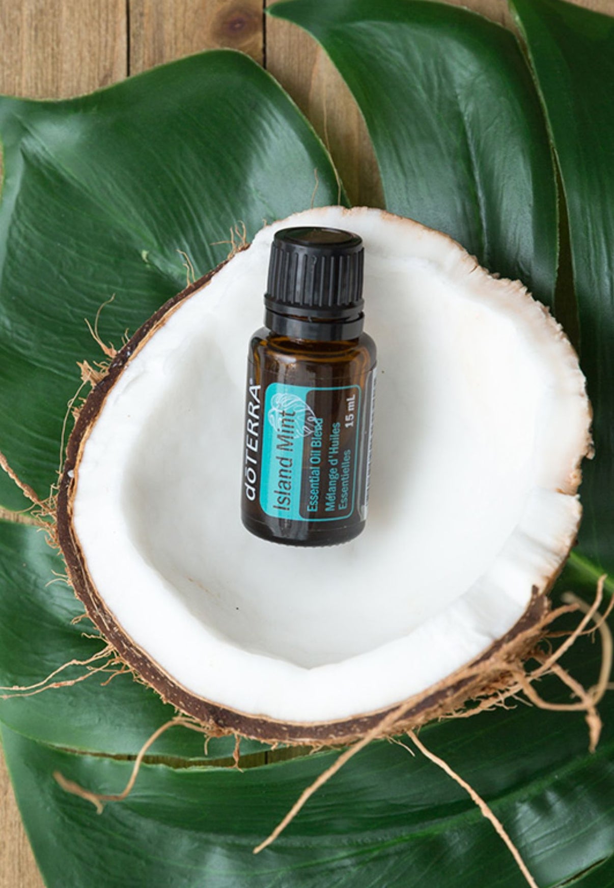 doTERRA Island Mint Summertime Blend | dōTERRA – Home Essential Oils