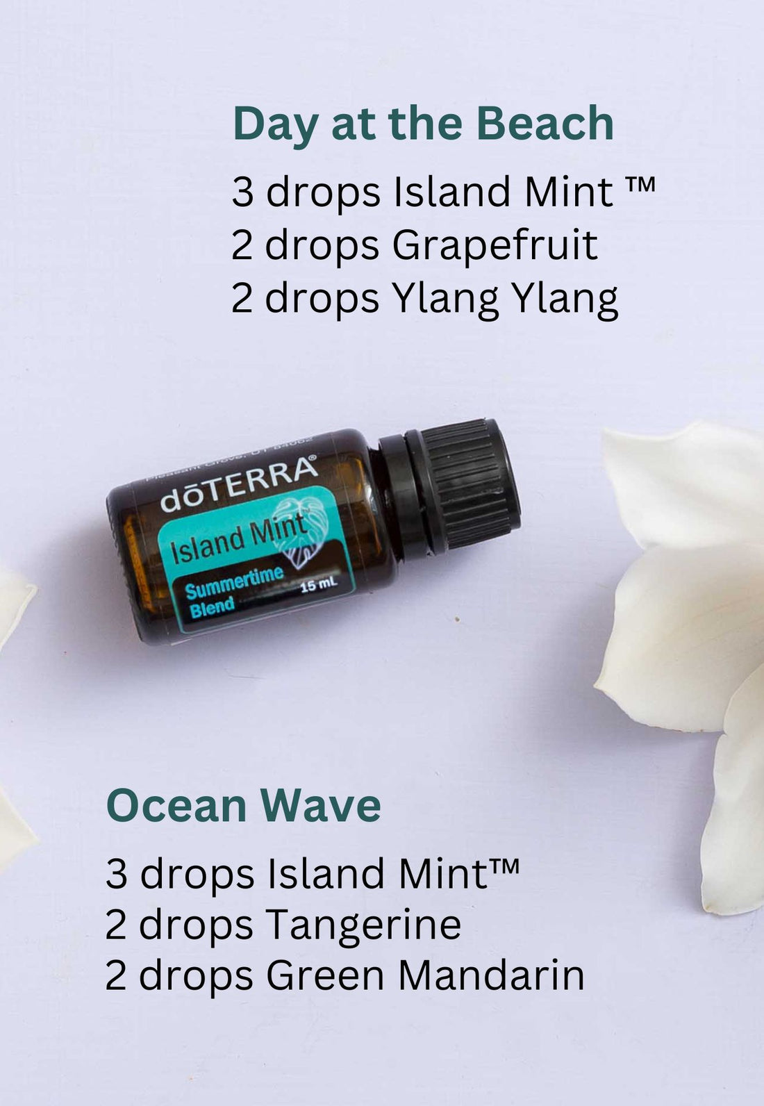 doTERRA Island Mint Summertime Blend | dōTERRA – Home Essential Oils