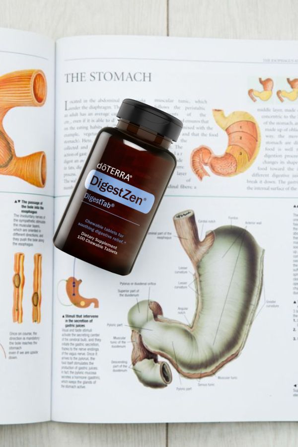 doTERRA DigestZen DigestTab Chewable Tablets | dōTERRA – Home Essential ...