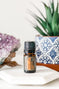 doTERRA Yoga Arise Blend | dōTERRA Essential Oils – Home Essential Oils