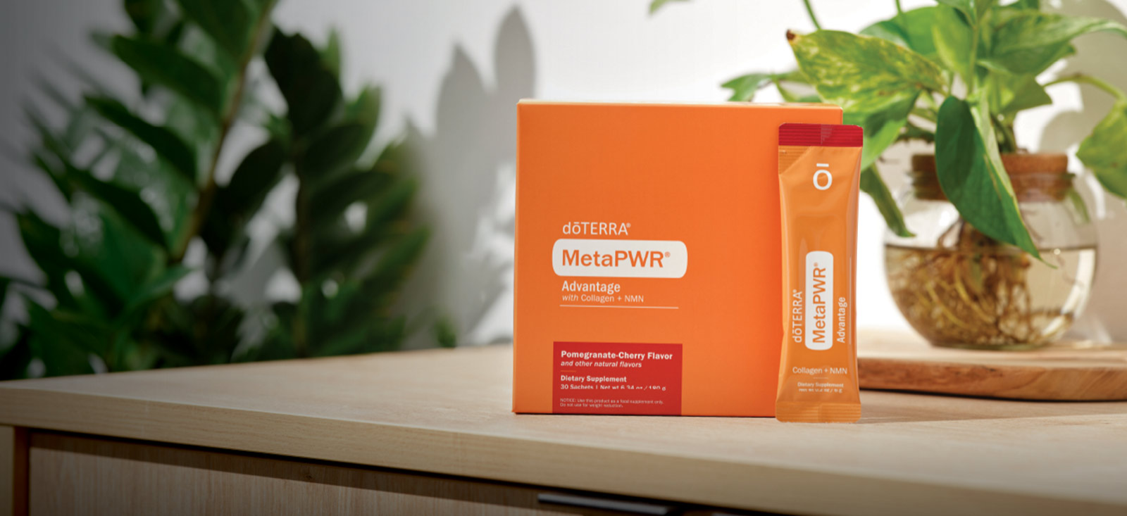 Home Essential Oils US | Shop dōTERRA