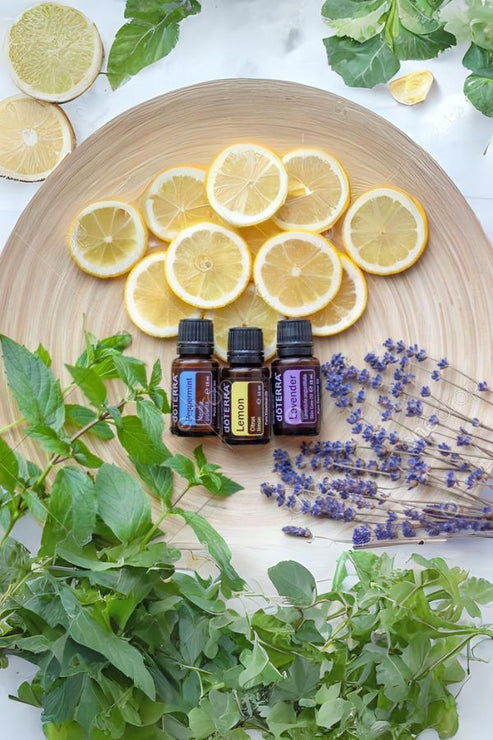 doTERRA Beginner's Trio Kit | dōTERRA Essential Oils – Home Essential Oils