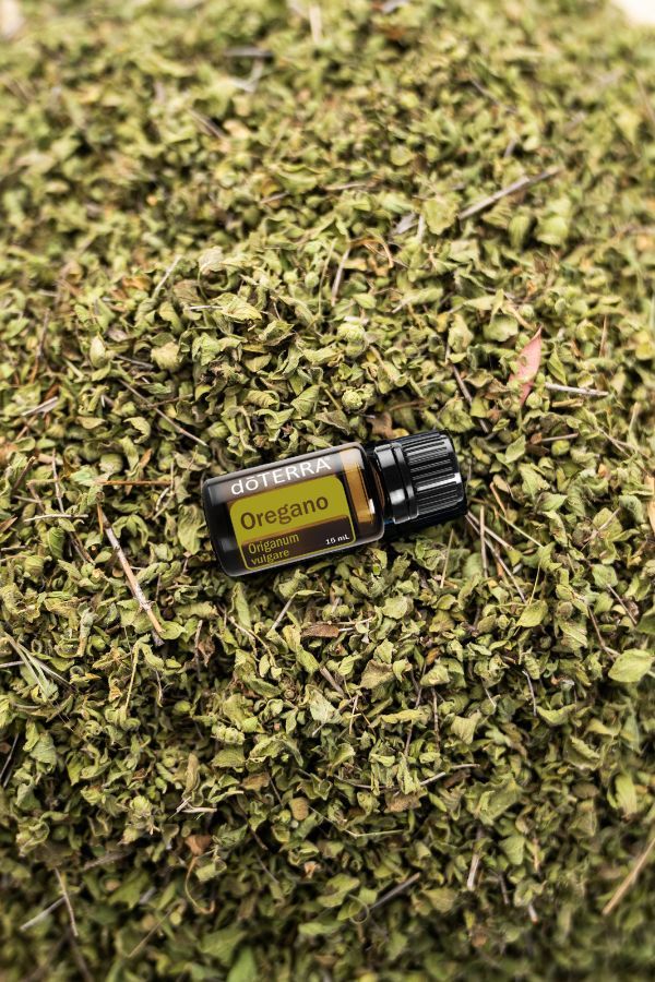 doTERRA Oregano Essential Oil | dōTERRA – Home Essential Oils