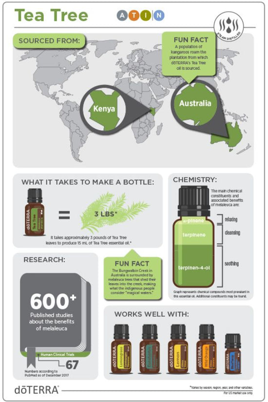 doTERRA Tea Tree (Melaleuca) Essential Oil | dōTERRA – Home Essential Oils