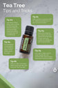 doTERRA Tea Tree (Melaleuca) Essential Oil | dōTERRA – Home Essential Oils