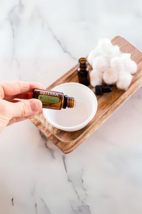 doTERRA Tea Tree (Melaleuca) Essential Oil | dōTERRA – Home Essential Oils