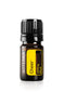 doTERRA Cheer Uplifting Blend | dōTERRA Essential Oils – Home Essential ...