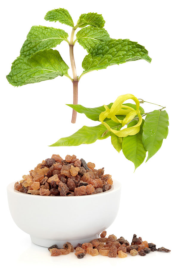 doTERRA Console Comforting Blend Touch Roll-on | dōTERRA – Home ...