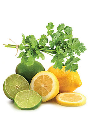 doTERRA Purify Blend Oil | dōTERRA – Home Essential Oils