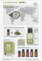 doTERRA Cardamom Essential Oil | dōTERRA Essential Oils – Home ...